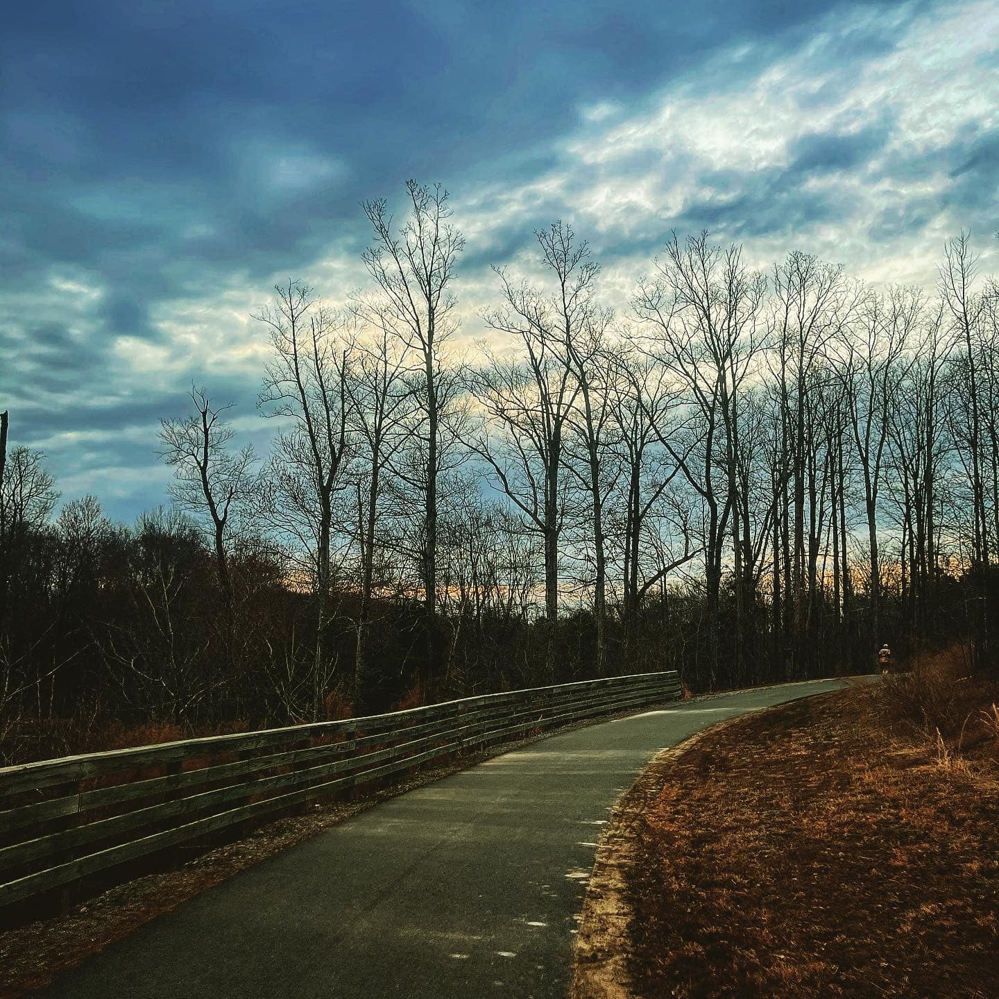 Sports Backers Half Marathon — Teon Taylor — HF 7350 ...